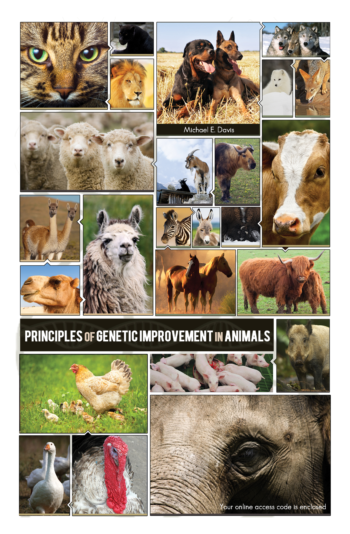 Product Details - Principles of Genetic Improvement in Animals | Great ...